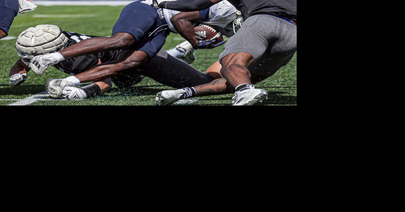 Fesenmaier opens fall ball with University of Nevada