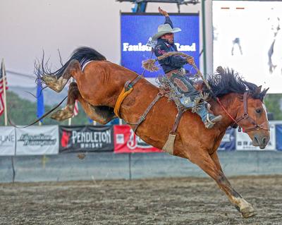 Stampede returns for 111th time