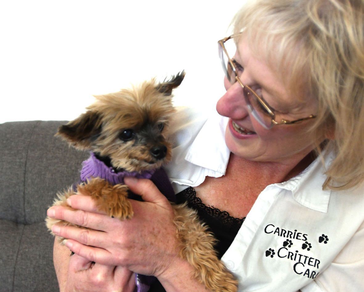 Pampered pets at Critter Care
