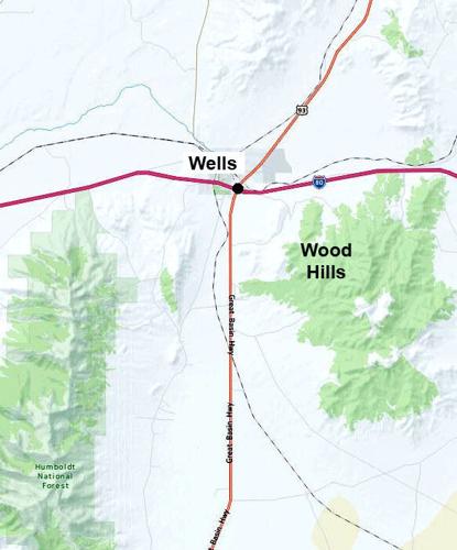 Horses to be gathered from hills near Wells
