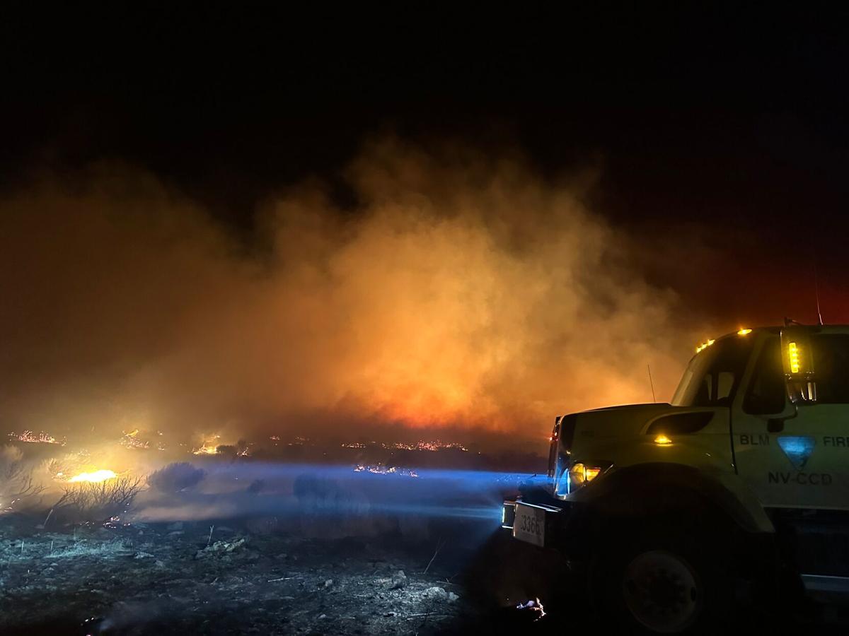 BLM plans Jakes Fire wild horse roundup