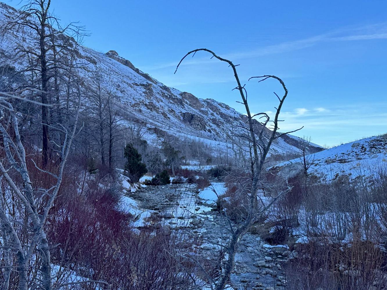 Photos: Lamoille Canyon in December