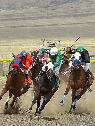 White Pine County Fair, horse races this weekend