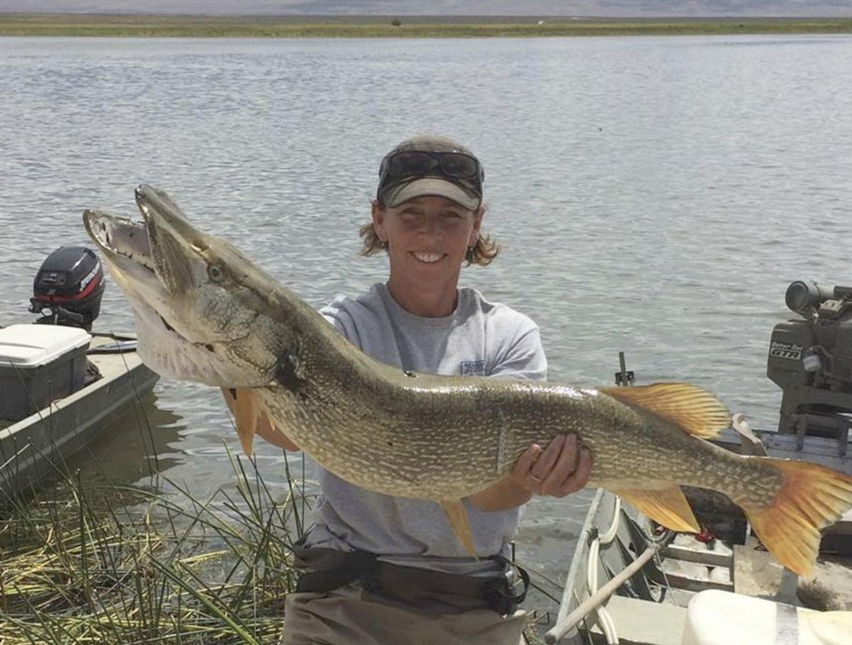 Comins Lake monitored for northern pike | Lifestyles | elkodaily.com