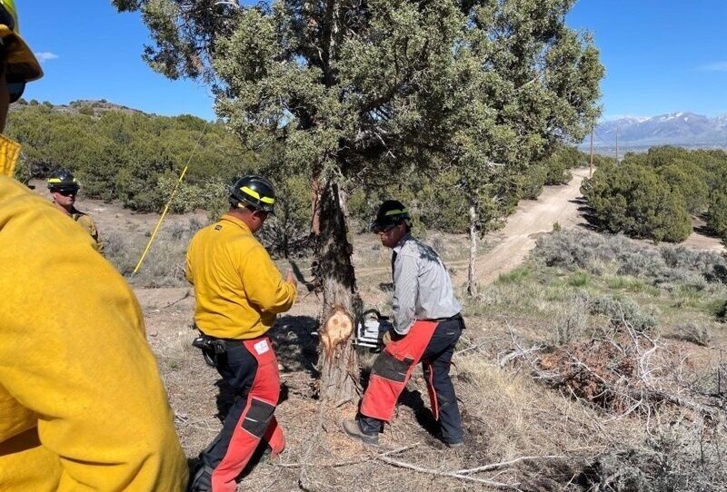 Elko County Fire district teams up with NDOW