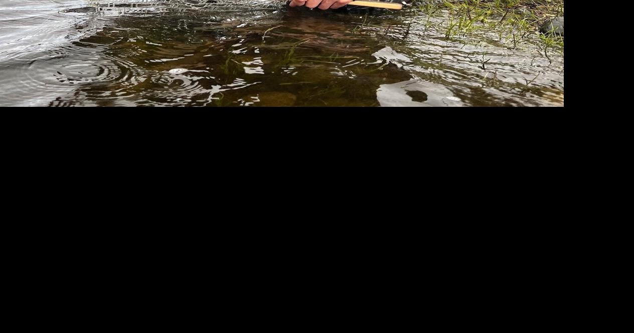 ‘Hoot-owl’ fishing restrictions enacted across several rivers in Montana