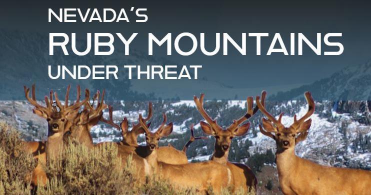 Sportsmen groups launch campaign to safeguard the Ruby Mountains