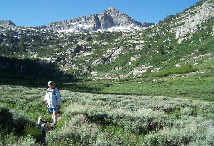 Nature Notes: The 11,000-foot peaks in the Ruby Mountains