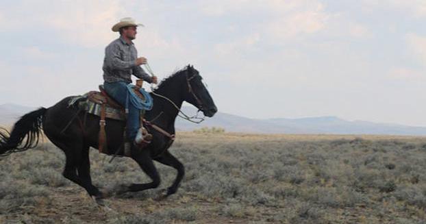 Cowboy Express goes nationwide