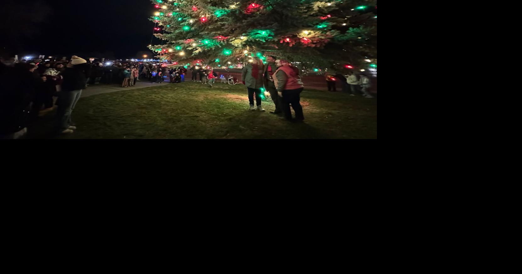 Photos: Chamber tree lighting
