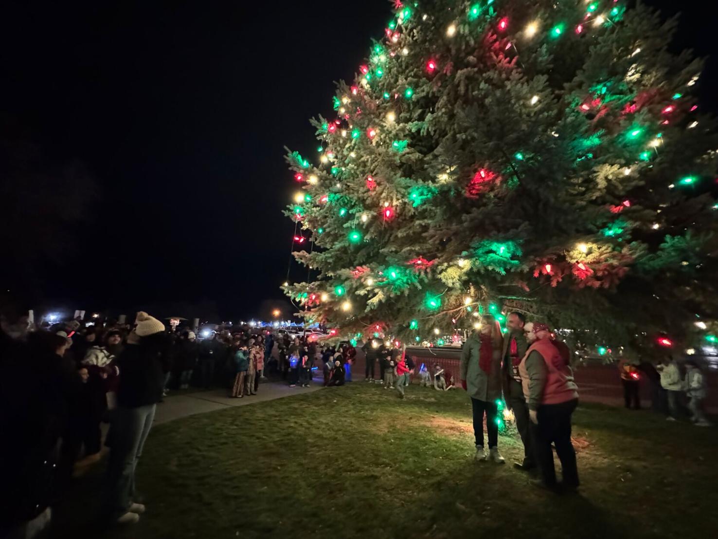 Photos: Chamber tree lighting