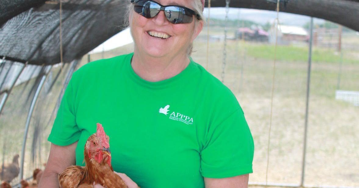 Back on Kennedy Ranch