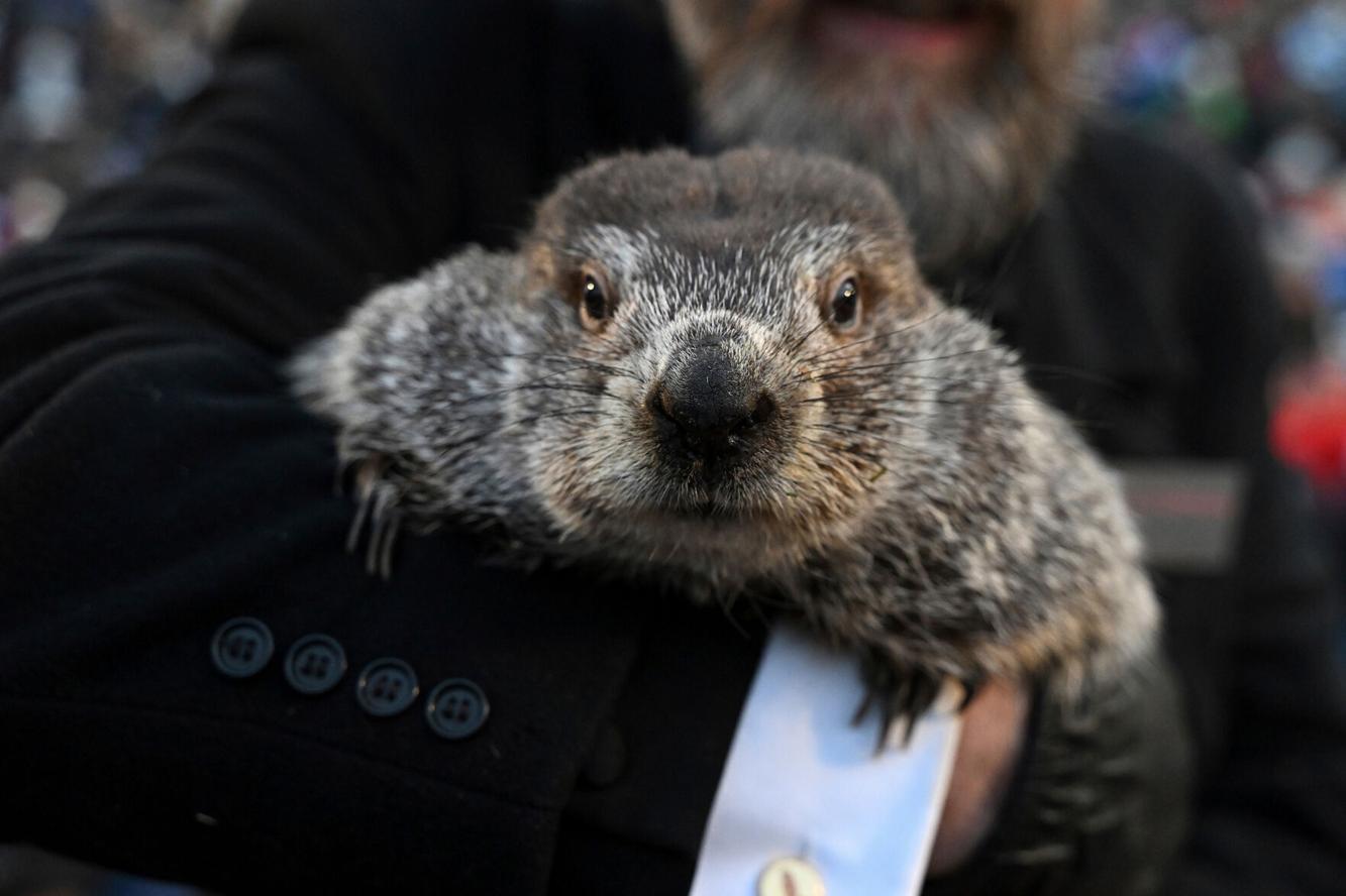 Groundhog Day 2026: Punxsutawney Phil predicts more winter
