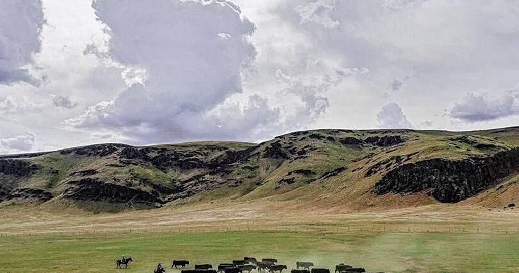 Former Marvel ranch for sale, a massive remnant of the 'wild west'