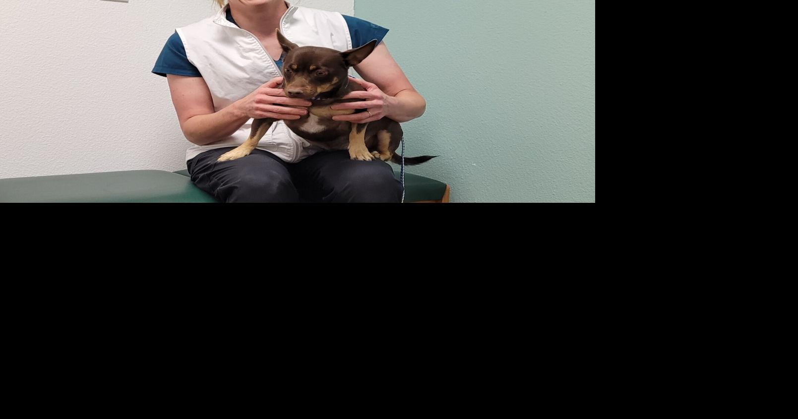 Readers' Choice: Aspen Veterinary Clinic wins top honors