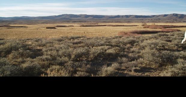 Nature Notes Ensuring rangeland remains open space