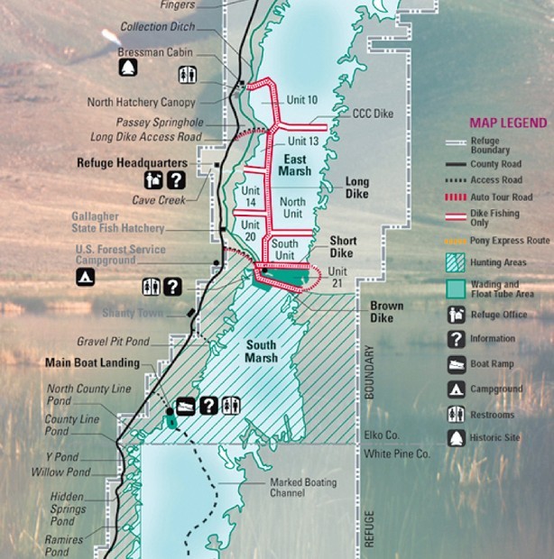 Ducks Unlimited funds wildlife project at Ruby Marshes | Local ...