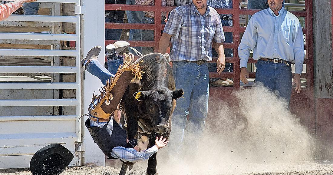 2011 Elko Youth Rodeo The future of rodeo