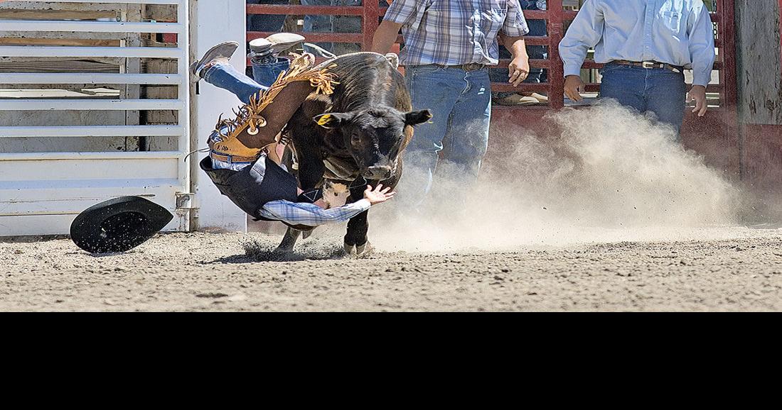 2011 Elko Youth Rodeo The future of rodeo