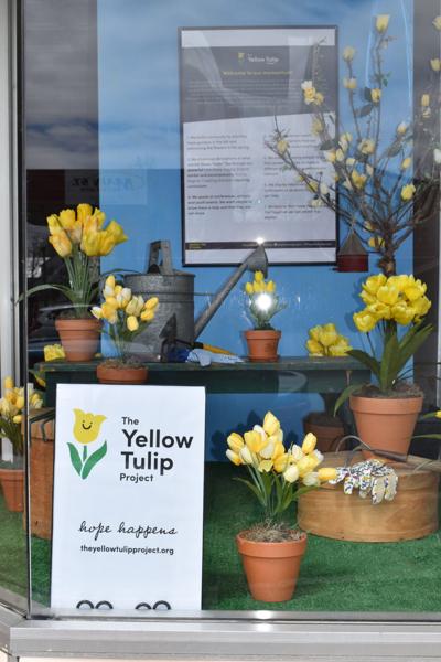 Tulip Project seeks to “smash the stigma” | Health | ellsworthamerican.com