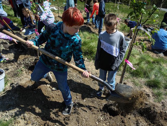 Students plant trees for city's greener future | Education ...