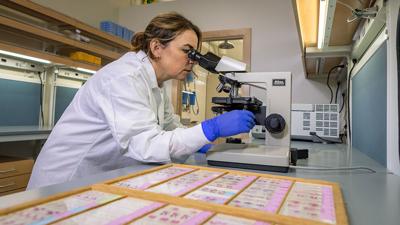 ALS advocates, researchers strive for a cure | Health ...