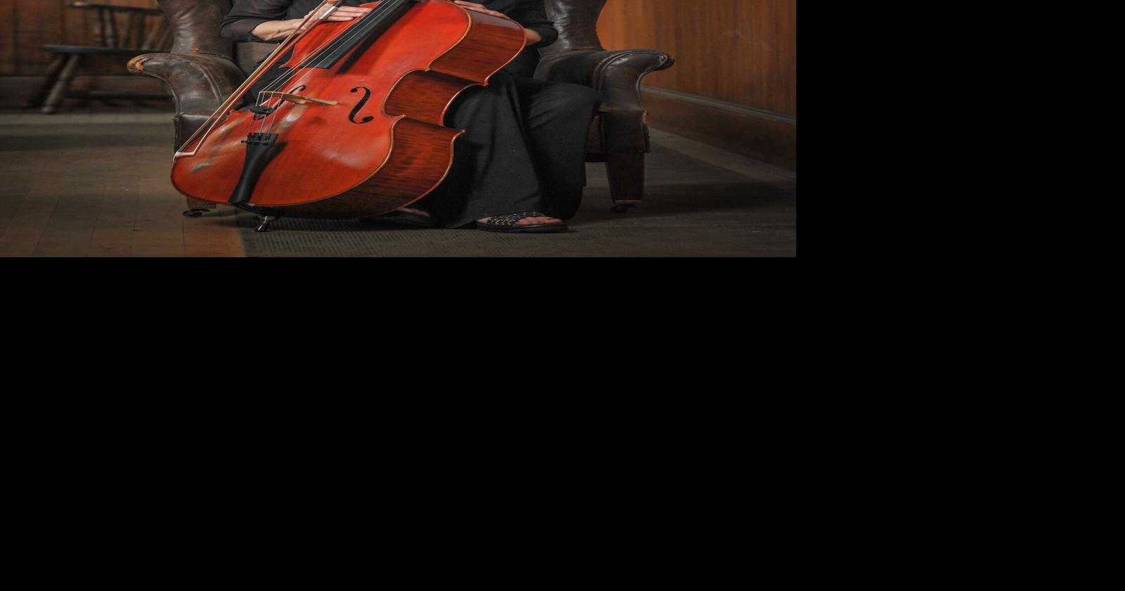 Give me Shelter: String trio to perform at Ellsworth Community Music ...