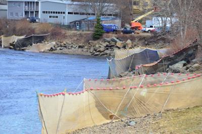 Elver season to open Monday | News | ellsworthamerican.com