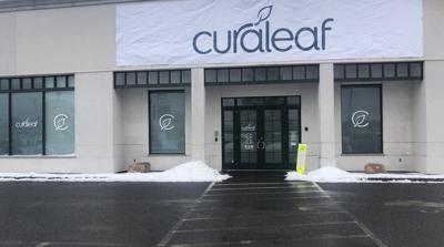 Maine Organic Therapy now Curaleaf in “cosmetic rebrand” | Politics ...