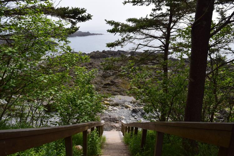 Let there be light: West Quoddy Head offers iconic lighthouse, ocean ...