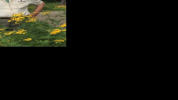 Stephen L. Weber | Obituaries | ellsworthamerican.com