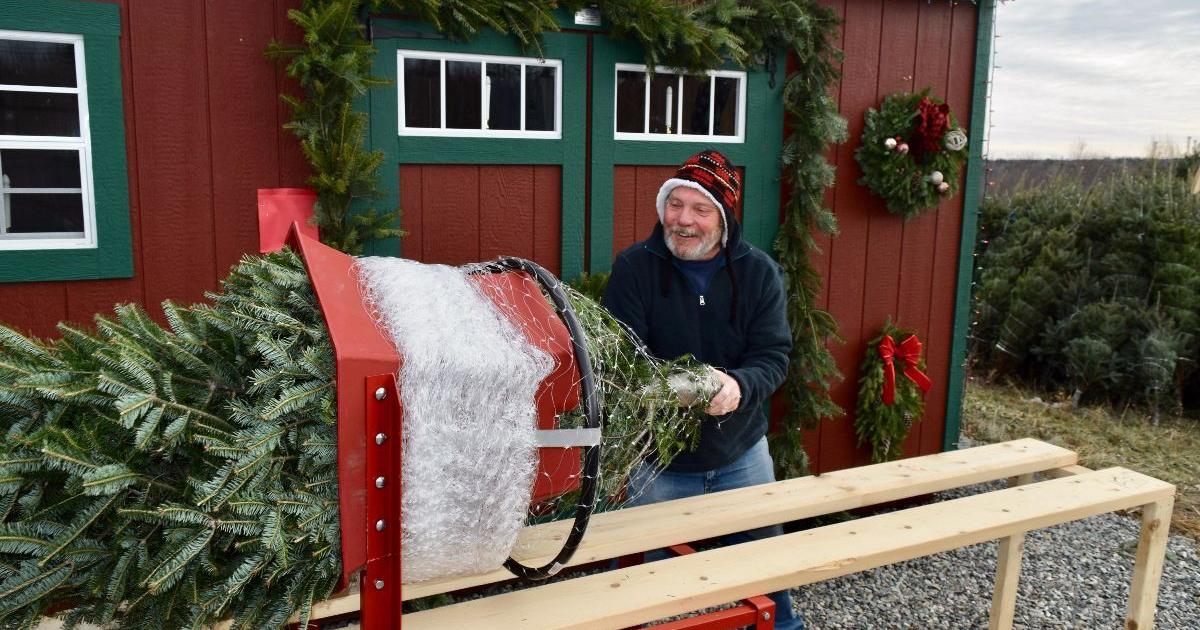 Tree farm puts down roots | News | ellsworthamerican.com