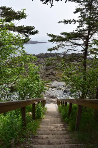 Let there be light: West Quoddy Head offers iconic lighthouse, ocean ...