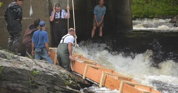 Do-it-yourself Fish Ladder Aids Patten Stream Alewives | Waterfront ...
