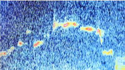$1.6 million grant fuels Jackson Lab's Alzheimer's research | Health ...