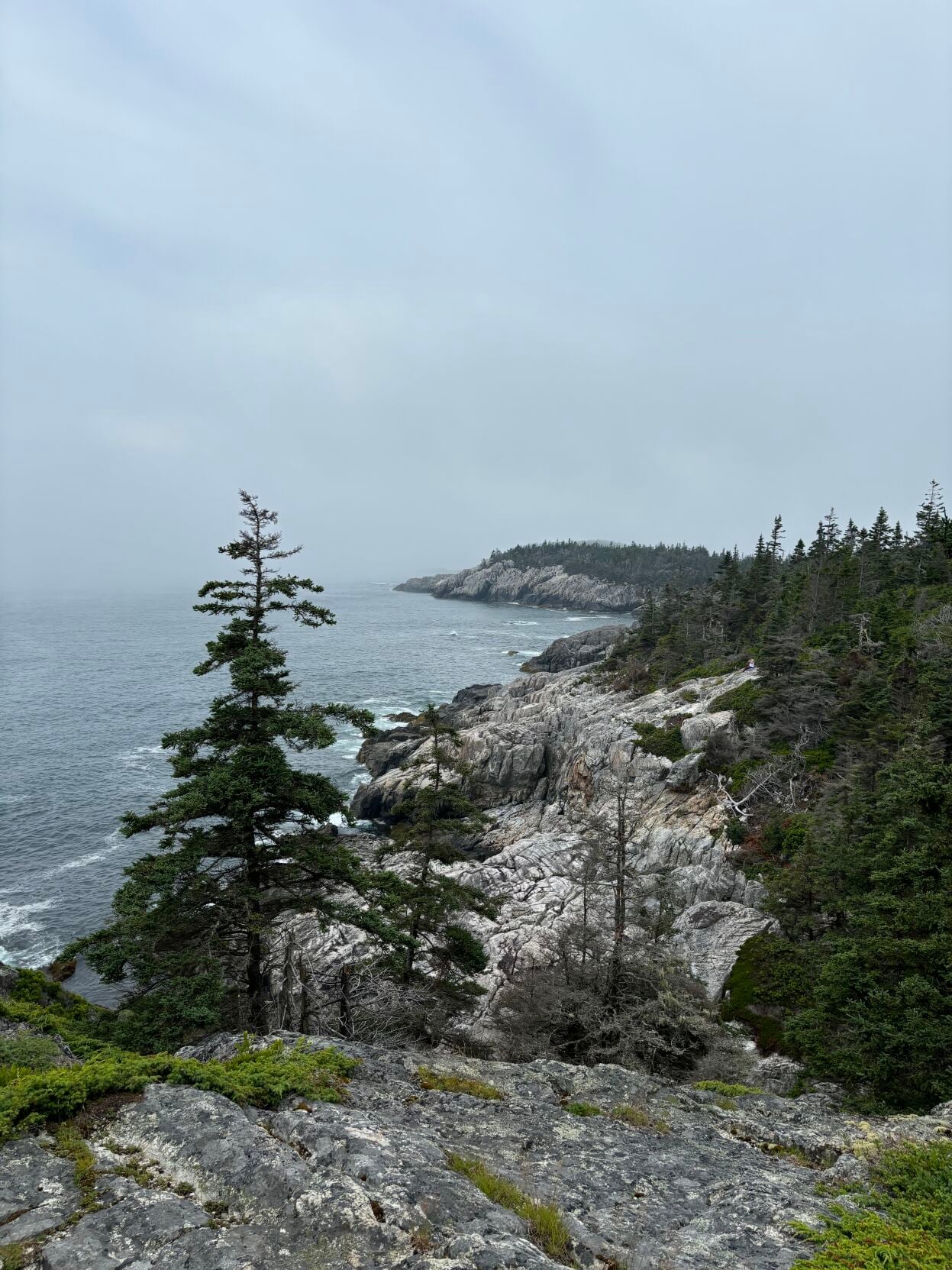 Away we go to Isle au Haut: The quietest, most rugged corner of Acadia ...