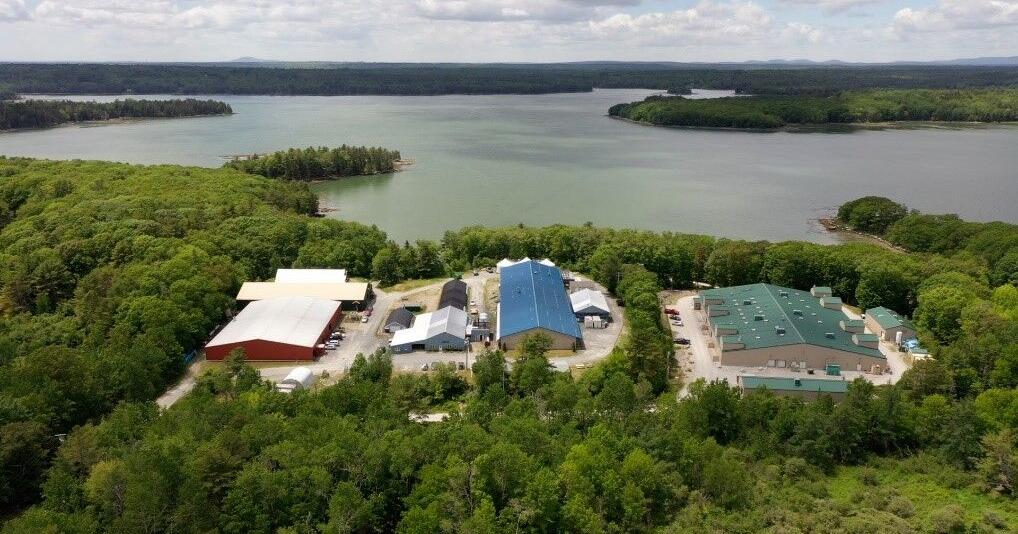 Aquaculture facility to receive $3.5 million upgrade | Waterfront ...