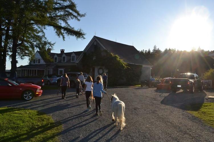 Whistle Pig Farm cultivates happy endings | Arts & Living ...