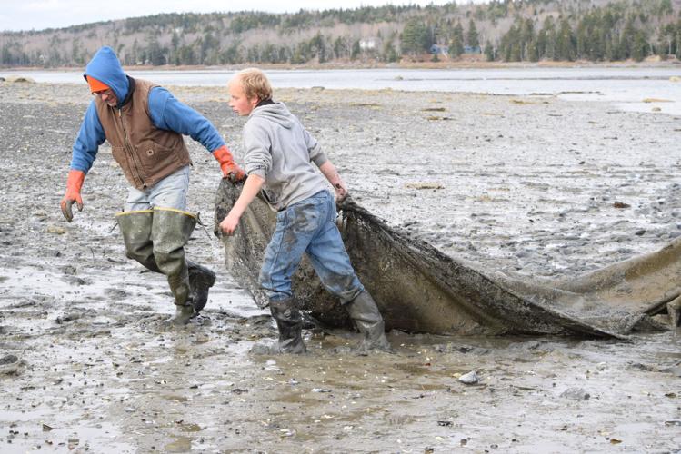 Shore access tightens for diggers | Waterfront | ellsworthamerican.com