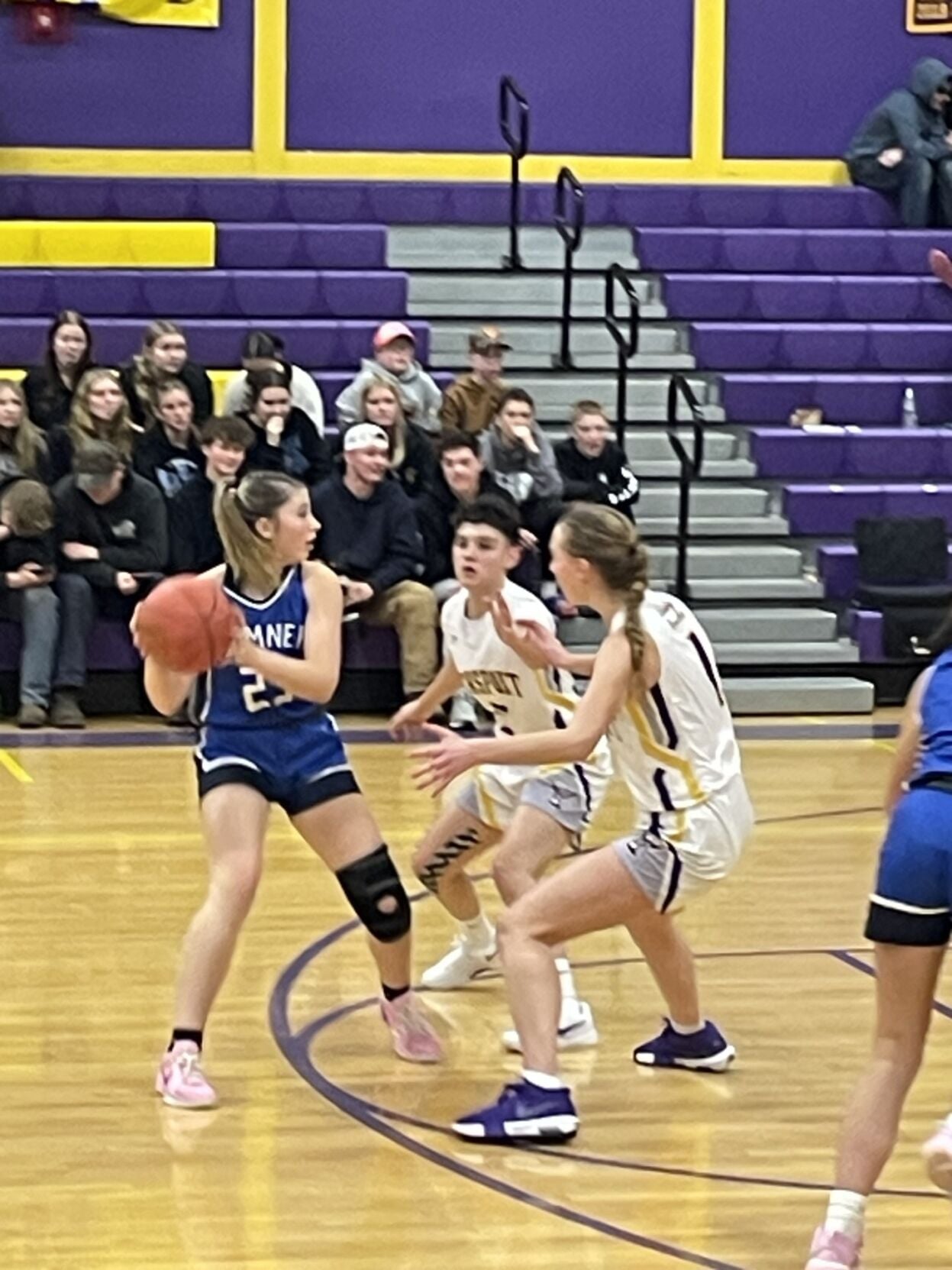 High school basketball: Sumner girls eclipse 2023-24 win total with ...