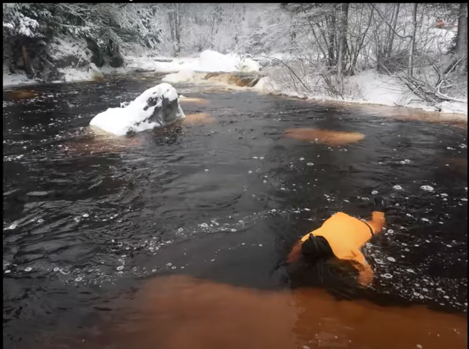 Frost fish survey calls for citizen scientists | Waterfront ...