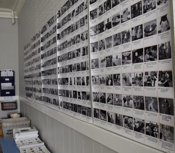 Borealis Press’s wry, whimsical greeting cards resonate far and wide ...