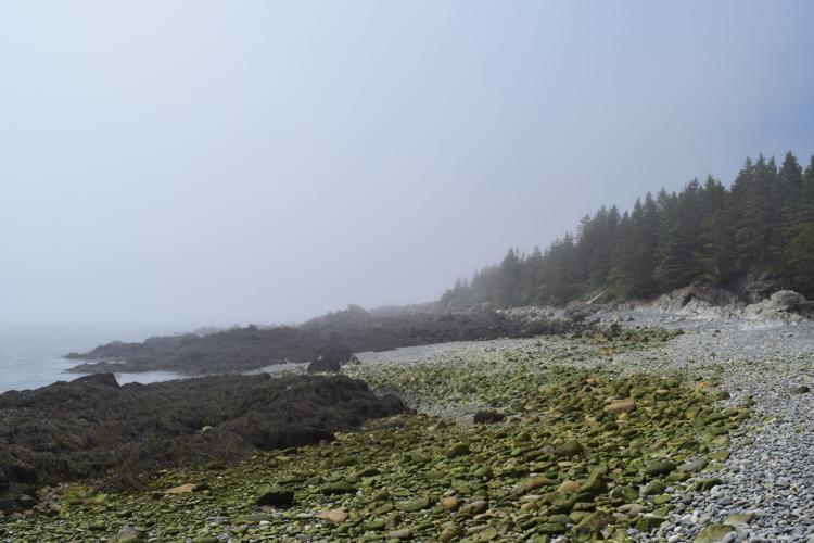 Let there be light: West Quoddy Head offers iconic lighthouse, ocean ...