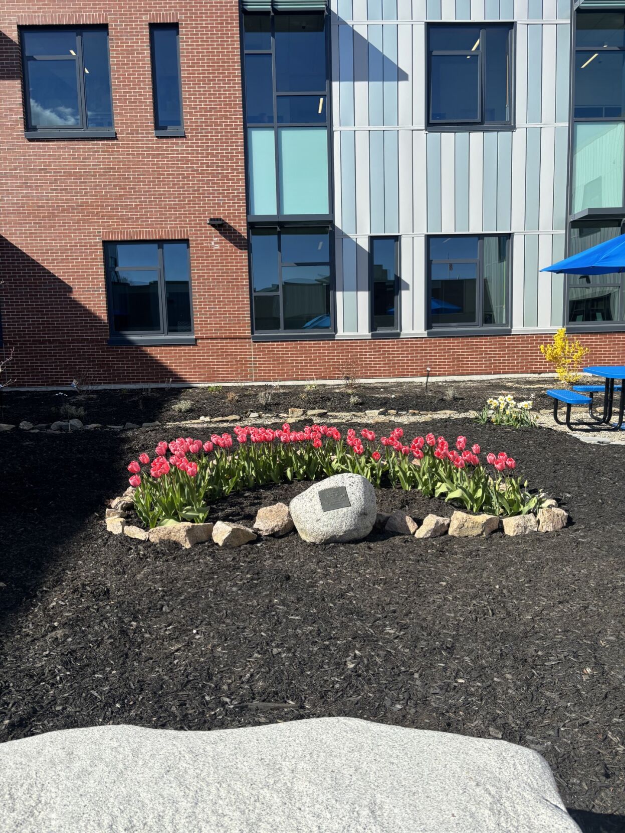 Pam Harmon remembered with new Sumner garden | News | ellsworthamerican.com