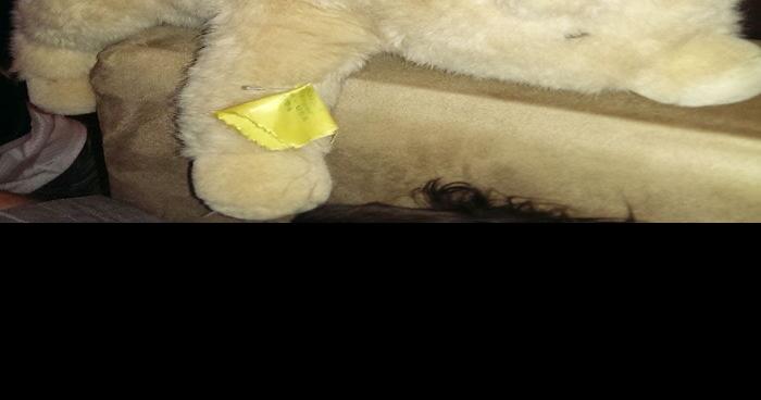 Patriotic pig unites troop greeter, soldier | News | ellsworthamerican.com