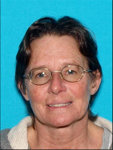 Body of missing Lamoine woman found Monday | Cops & Courts ...