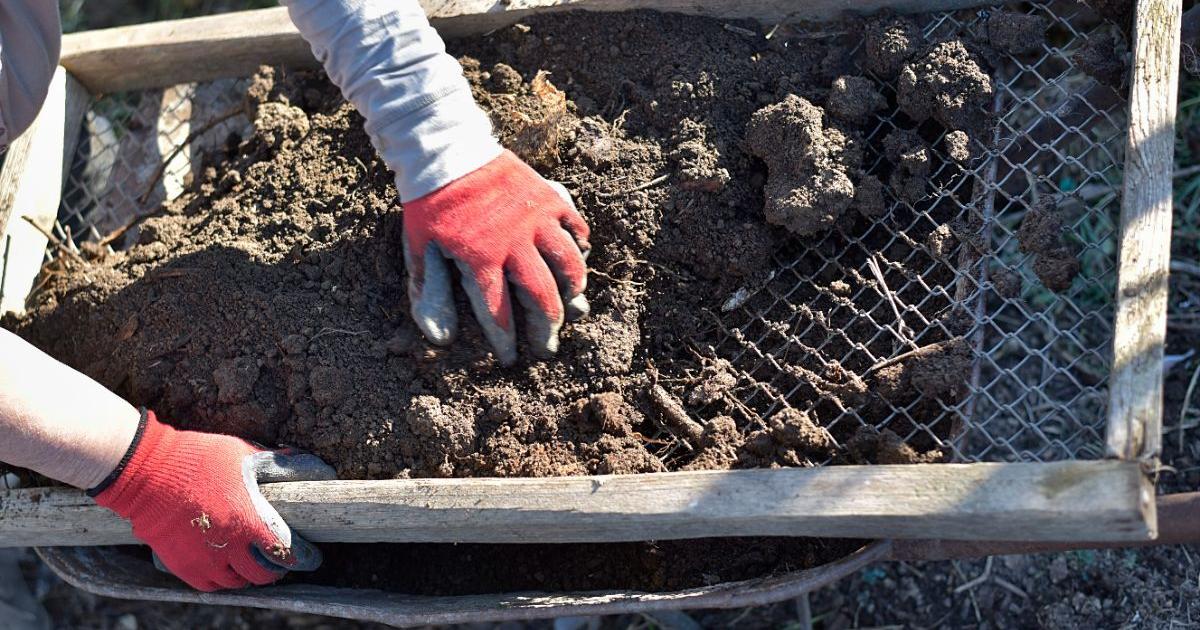 Sifted compost ultimate luxury | Kitchen Garden | ellsworthamerican.com