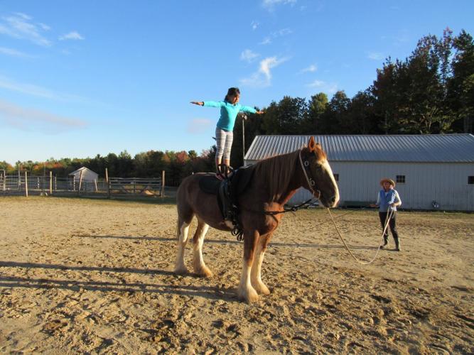 Equestrian vaulting is finding a foothold among children | Arts ...
