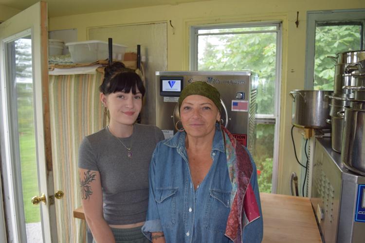 Sweet tooth: Dental hygienist turned Ice Cream Lady makes frozen ...