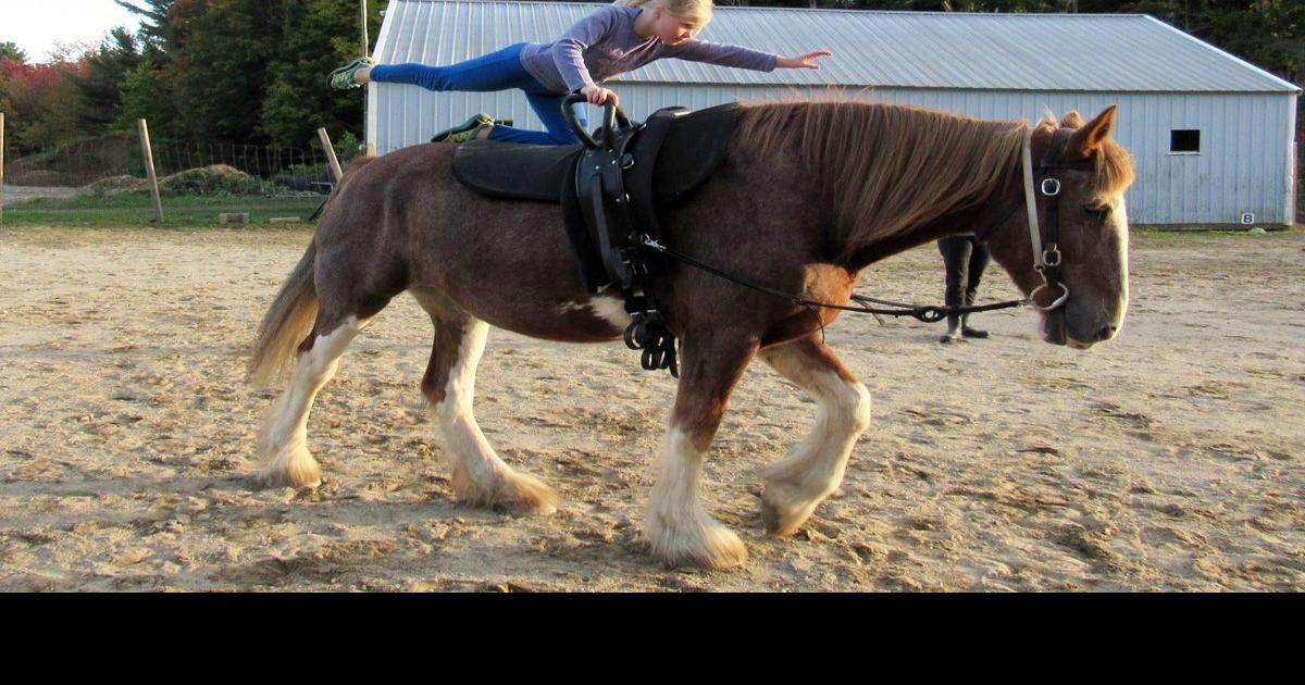 Equestrian vaulting is finding a foothold among children | Arts ...